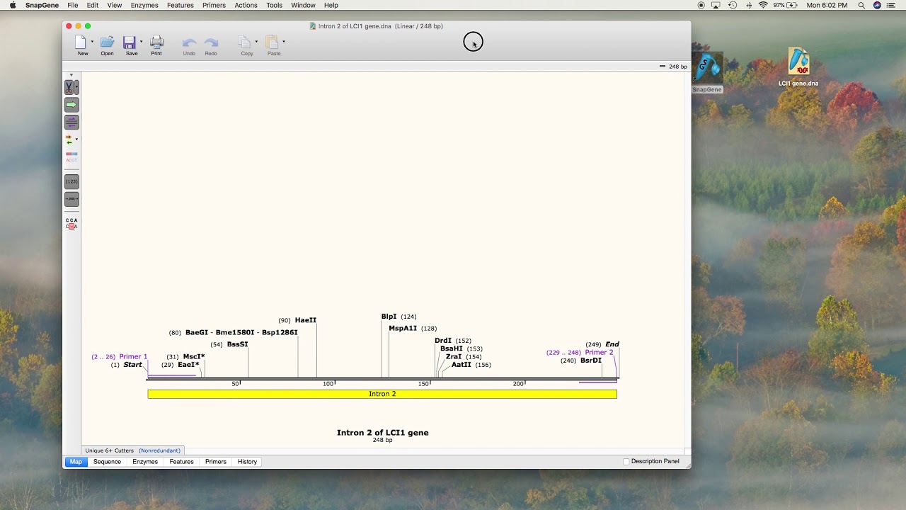SnapGene Tutorial Part 4 How to save raw files and images - YouTube