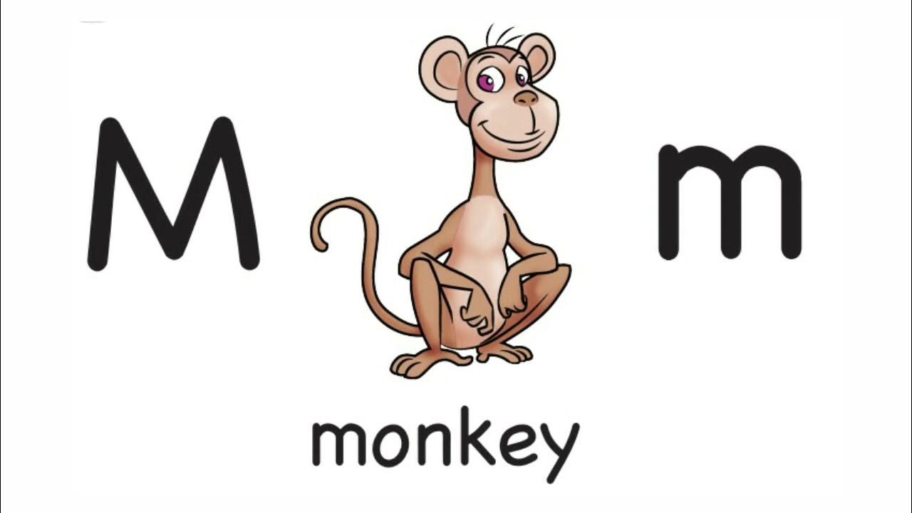 phonics Aa to Zz / Diana's Classroom - YouTube