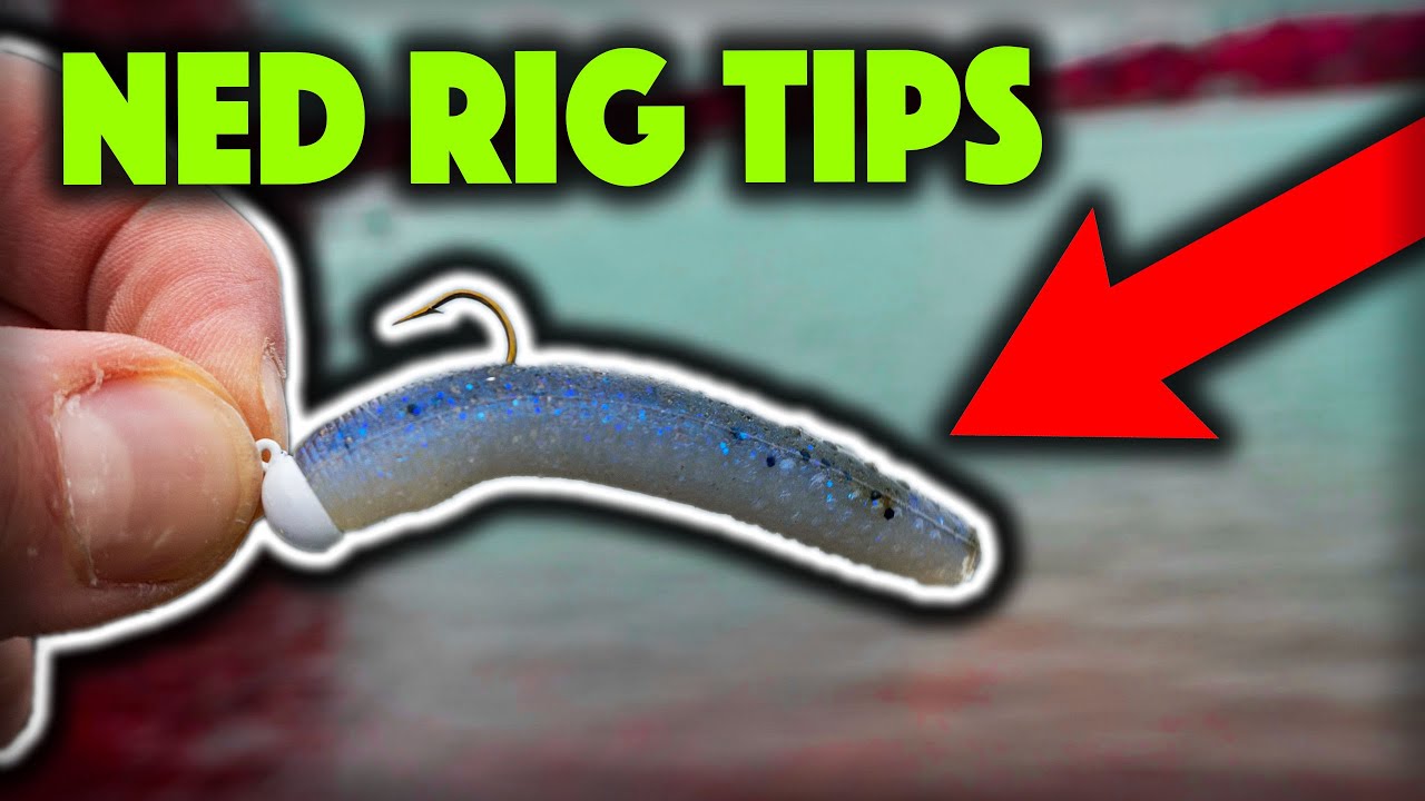 Can't Catch Fish On The NED RIG? Try These Tips! - YouTube