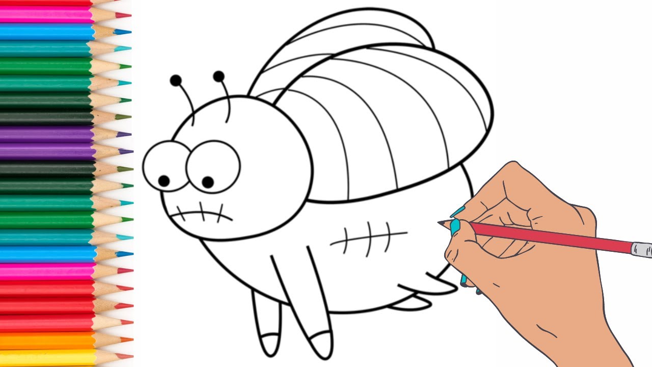 HOW TO DRAW A FLY STEP BY STEP // EASY DRAWING - YouTube