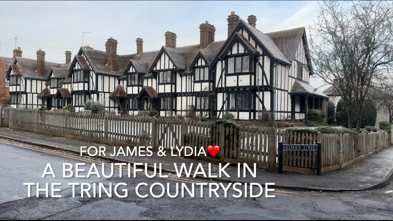 A Beautiful walk in the Tring countryside on a cold and frosty December ...