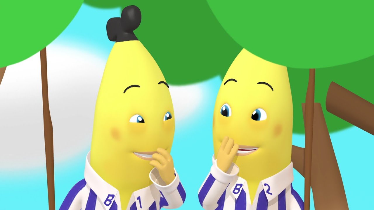 Grumpy Rat - YouTube