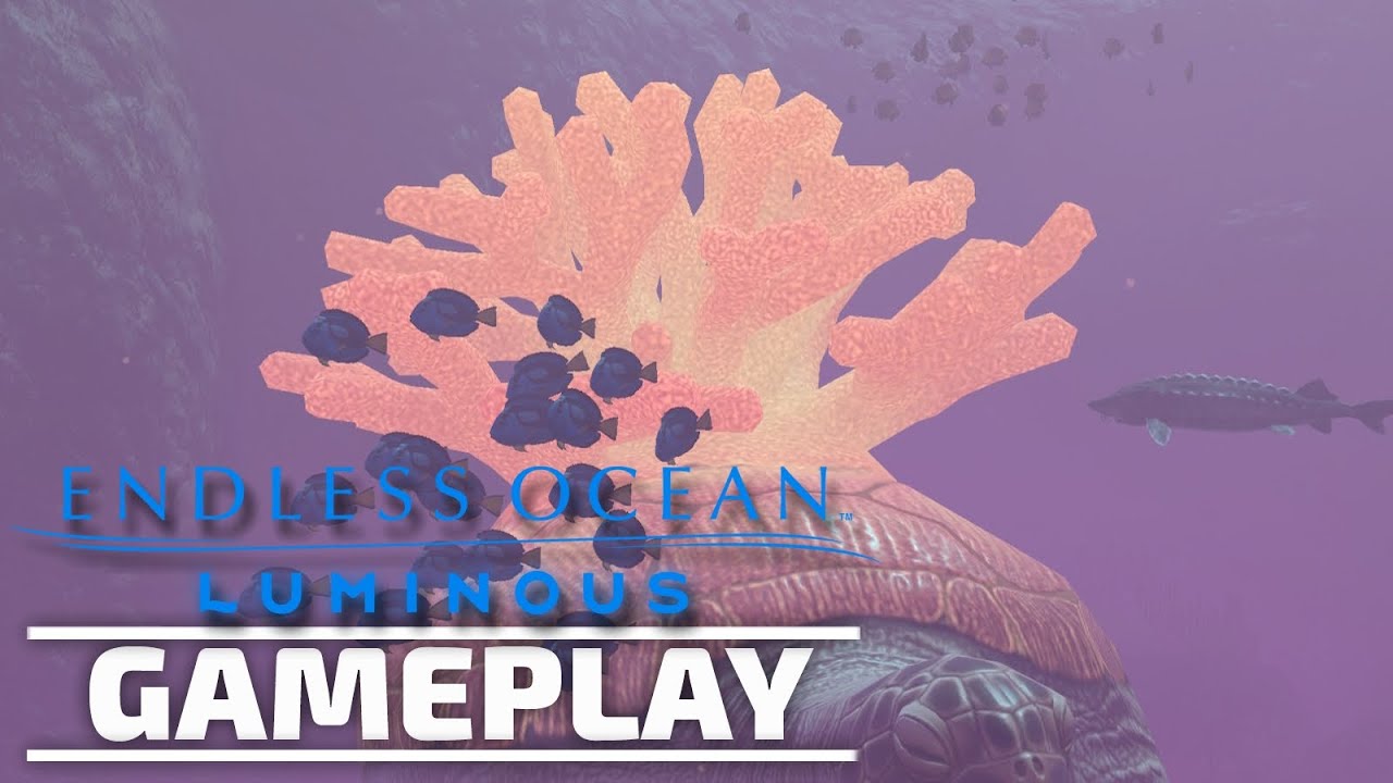 Endless Ocean Luminous Gameplay - Switch [GamingTrend] - YouTube