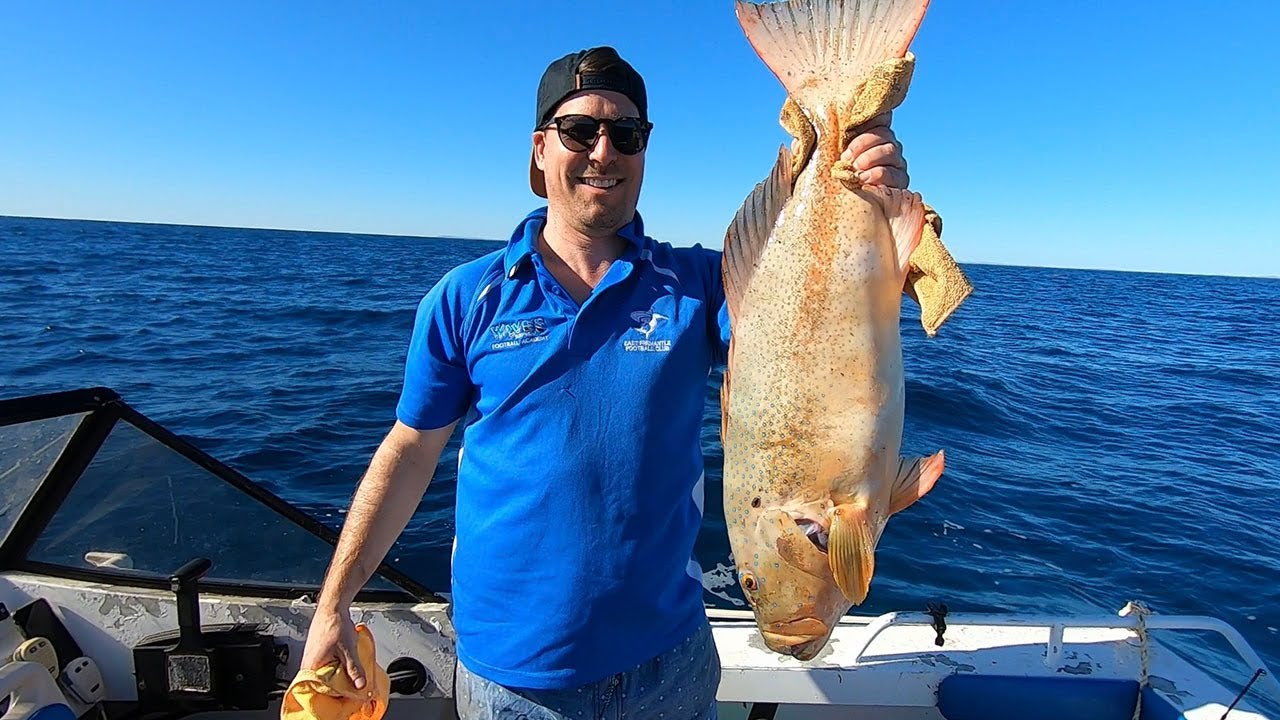 MASSIVE Coral Trout - Remote Camping in Western Australia (The Pilbara ...