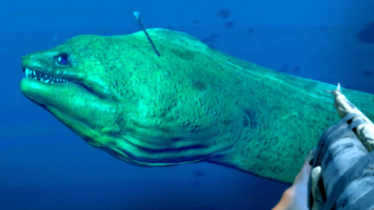 Serpenti Marini Giganti