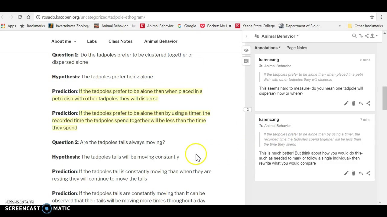 Hypothesis Demo Youtube 1649