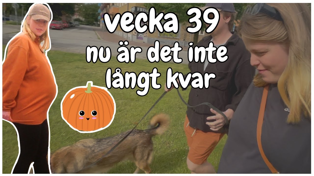 gravid vecka 39 | fixar det sista - YouTube