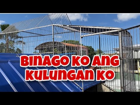 BINAGO KO ANG KULUNGAN KO |Reggie Cruz Loft & Aviary # ...