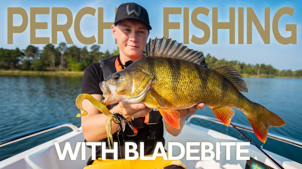 Perch Fishing with Bladebite | Westin Fishing - YouTube