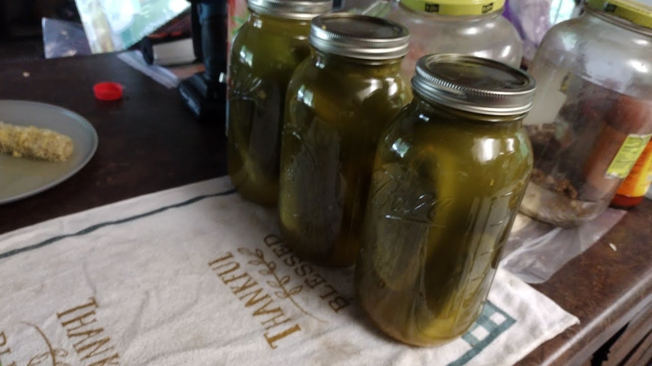 Canning Dill pickles 🥒 How many jars is a 1/2 bushel? - YouTube