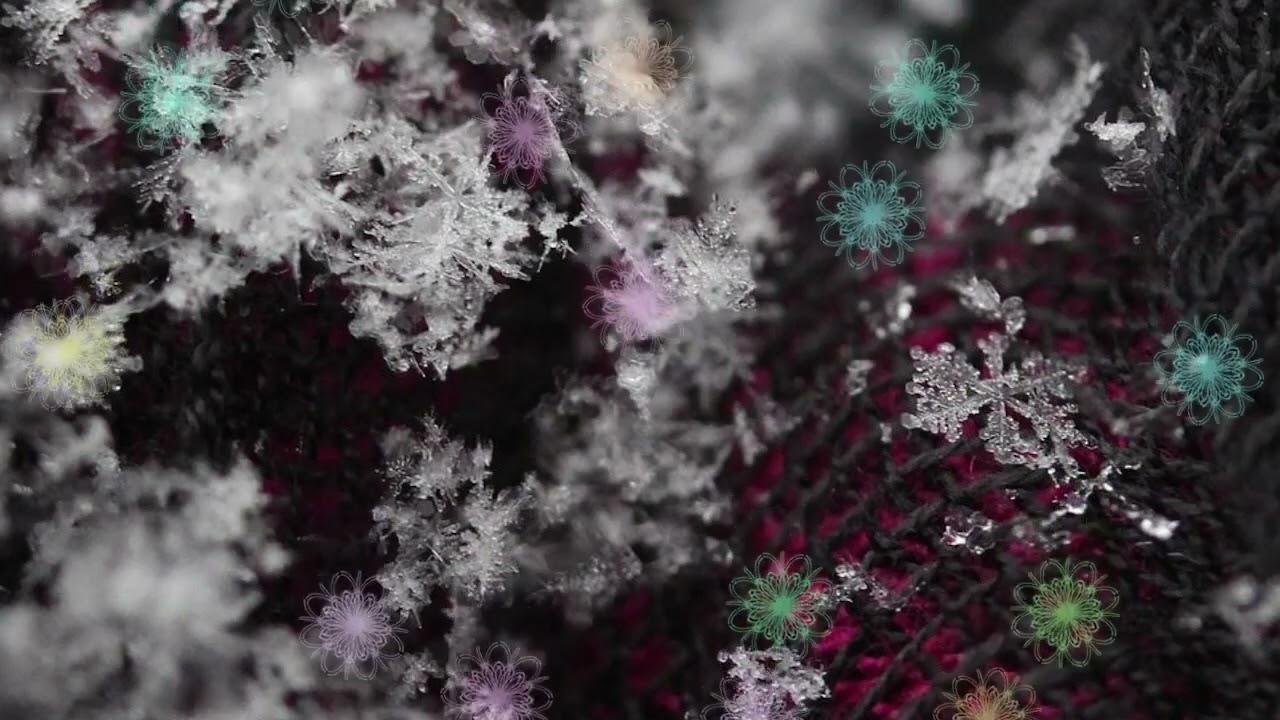 SCREEN VIDEO BY SNOWFLAKES DROP DOWN IN THE WINTER. NEW SNOWFLAKE NEW ...