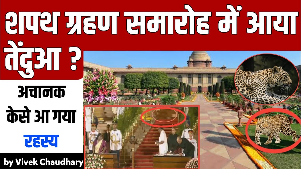 Leopard at Rashtrapati Bhavan Video of mystery animal during oath goes ...