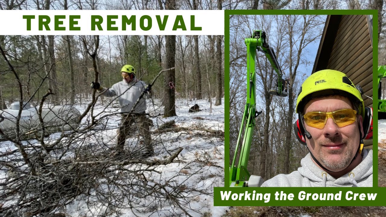 Tree Removal - Working the Ground Crew - YouTube