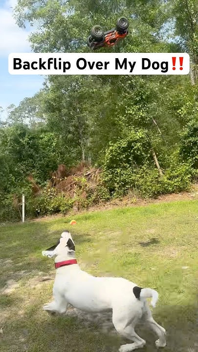 Traxxas Mini MAXX Backflips Over 100lbs Dog - YouTube