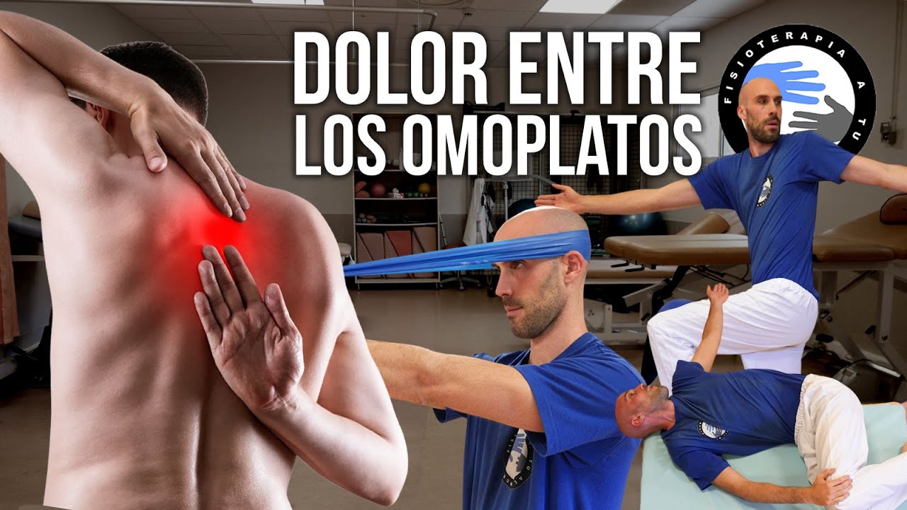 Omoplato Del Musculo