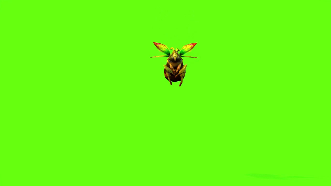 Green Screen HoneyBee Animation HoneyBee Green Screen Video - YouTube
