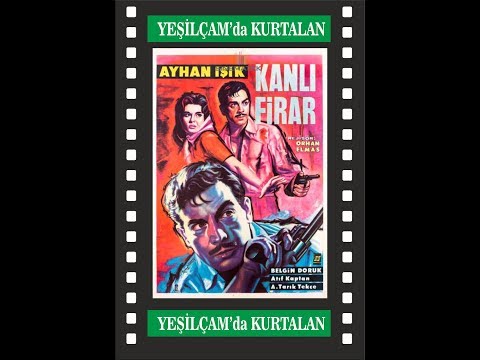 Kurtalan Yeşil Çam İzleri 1b