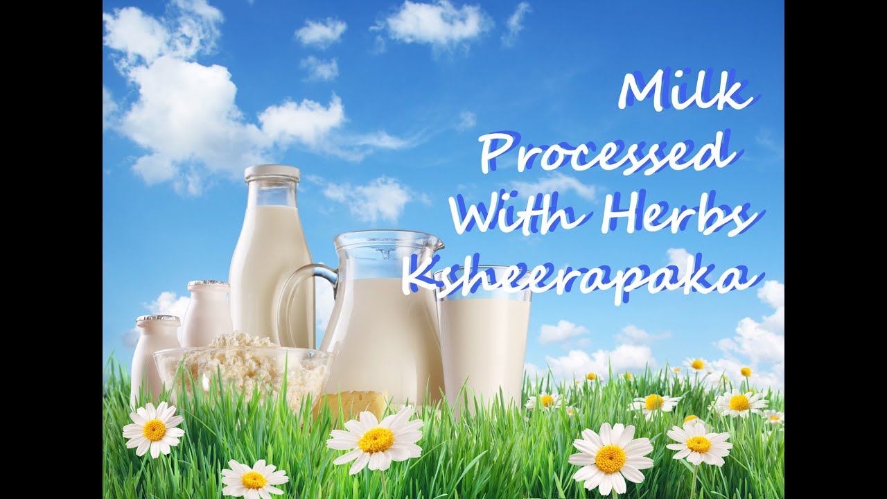 Milk Processed With Ayurvedic Herbs - Ksheera Paka - YouTube