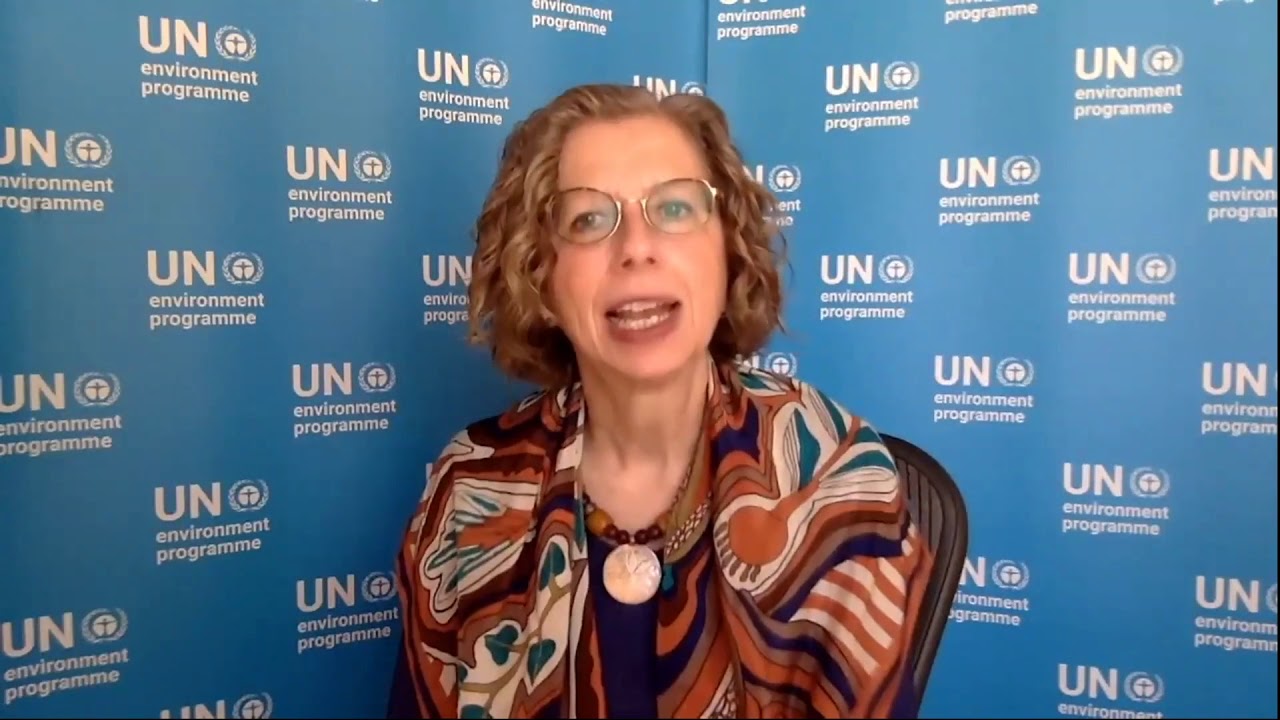 OTFF 2021: Strengthening international support for indigenous solutions ...