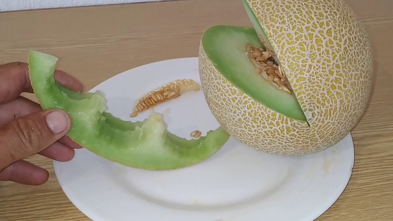 Galia Melon (Cucumis melo var reticulatus) - YouTube