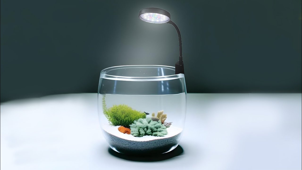 N-6 Nano LED Light for Small Tanks & Bowls - YouTube