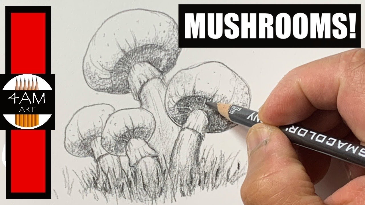 How to Draw Mushrooms in Pencil, Drawing Tutorial - YouTube