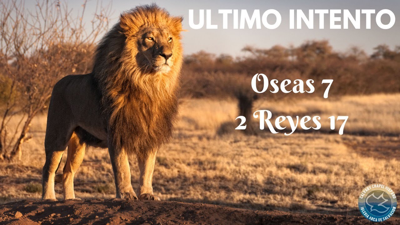 ULTIMO INTENTO - YouTube