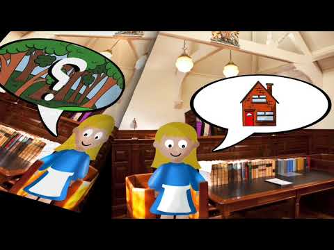 Goldilocks on trial - YouTube