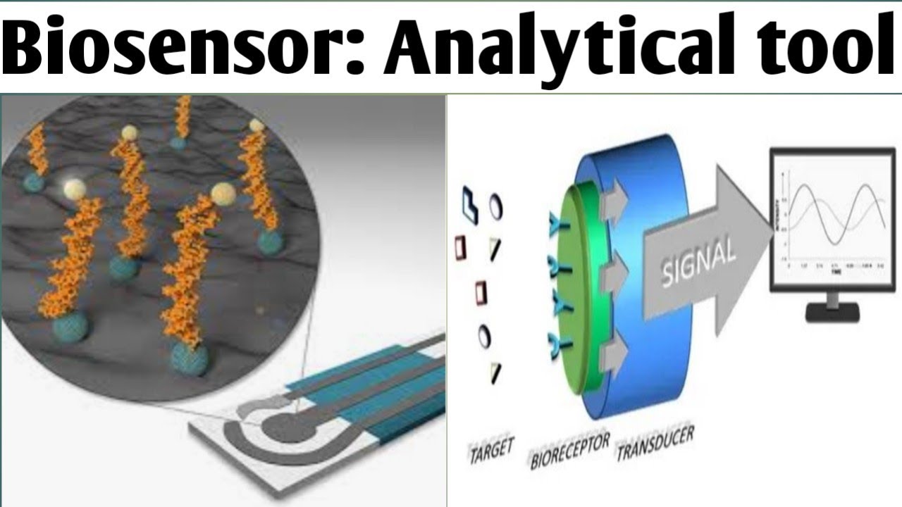 Biosensor| Biosensing device|Biotechnology|Unit 1|B.Pharm 6th Sem - YouTube