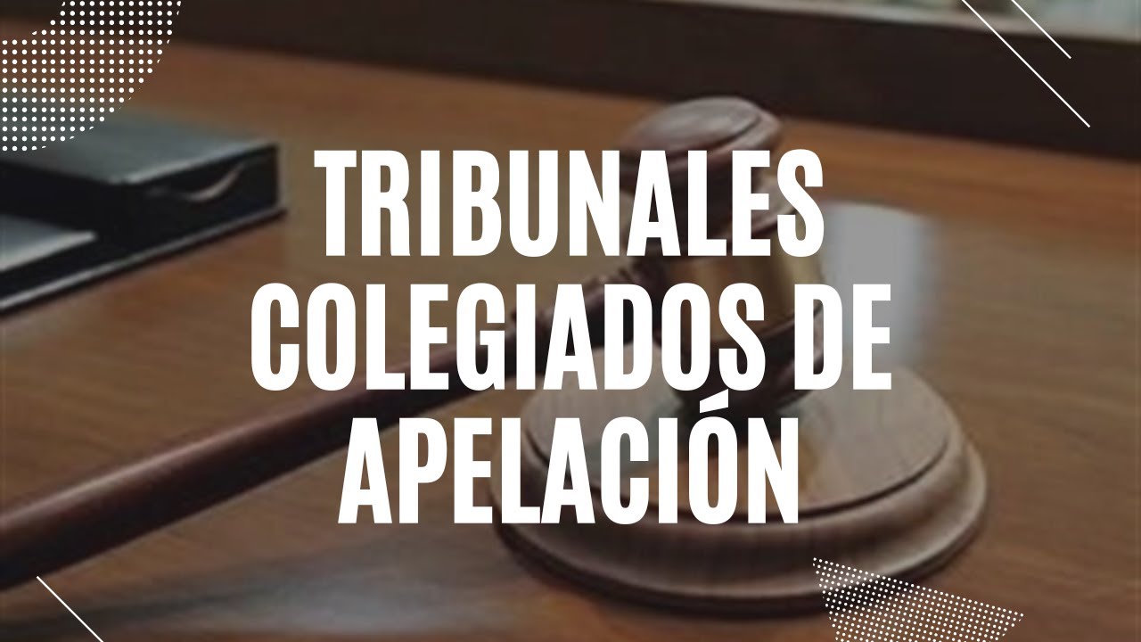 Tribunales Colegiados De Apelación Youtube