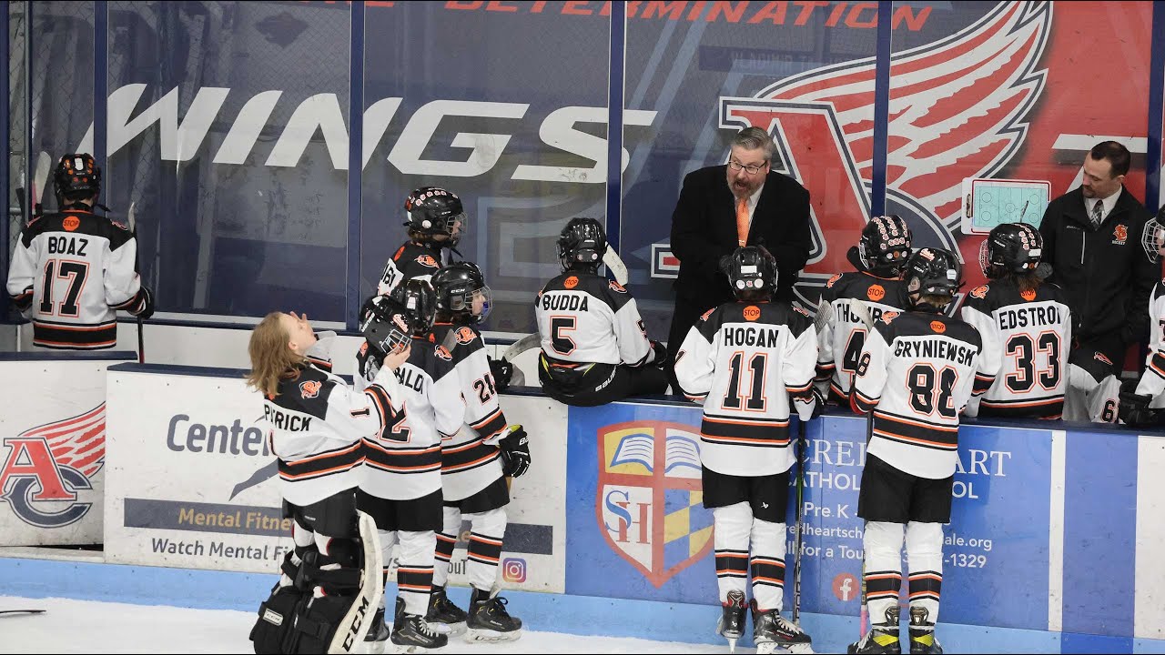 St Louis Park Pee Wee B1 District Semi Final - YouTube