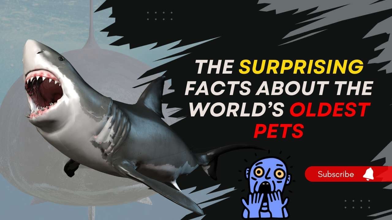 The Surprising Facts About The World’s Oldest Pets 😱😱 - YouTube