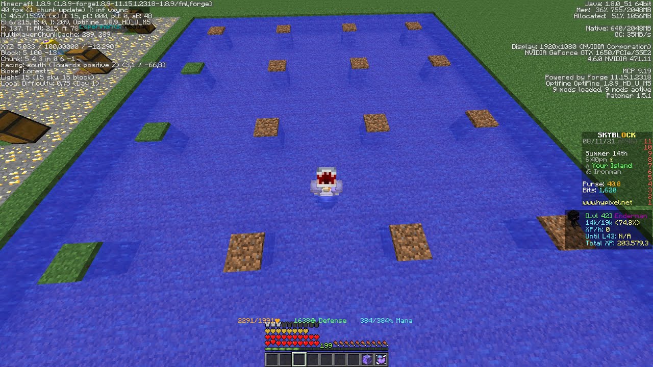 Minecraft Hypixel Skyblock - Kleiner Fortschritt in Sachen Rüstungen ...