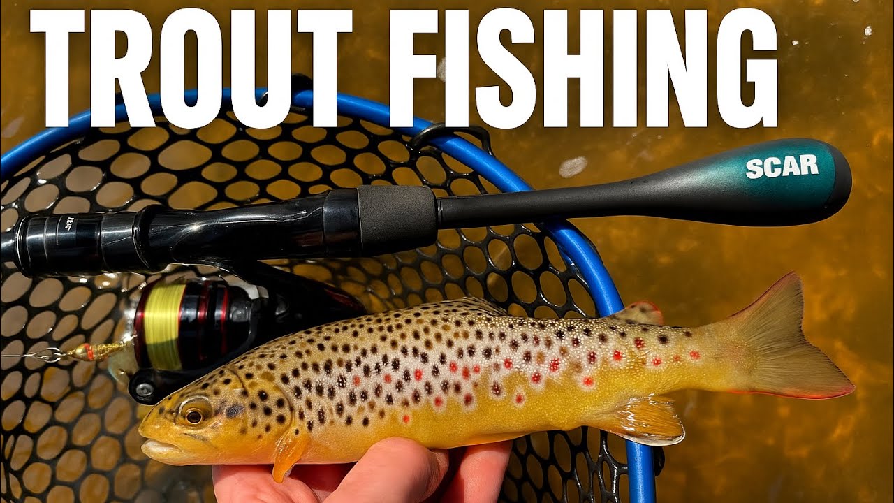 Catching 45 Wild Trout with a $12 TEMU Rod! | Spinner Fishing Ireland ...