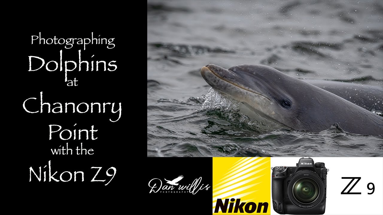 Photographing Dolphins at Chanonry Point with the Nikon Z9 - YouTube