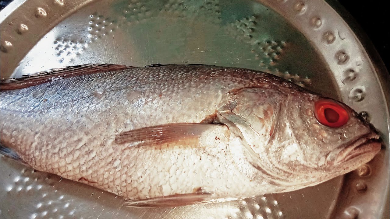 Bhola bhetki machhar jhal ||simple and easy Bengali recipe ||আলু দিয়ে ...