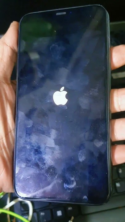 Iphone 11 Pro Stuck Logo Apple - YouTube