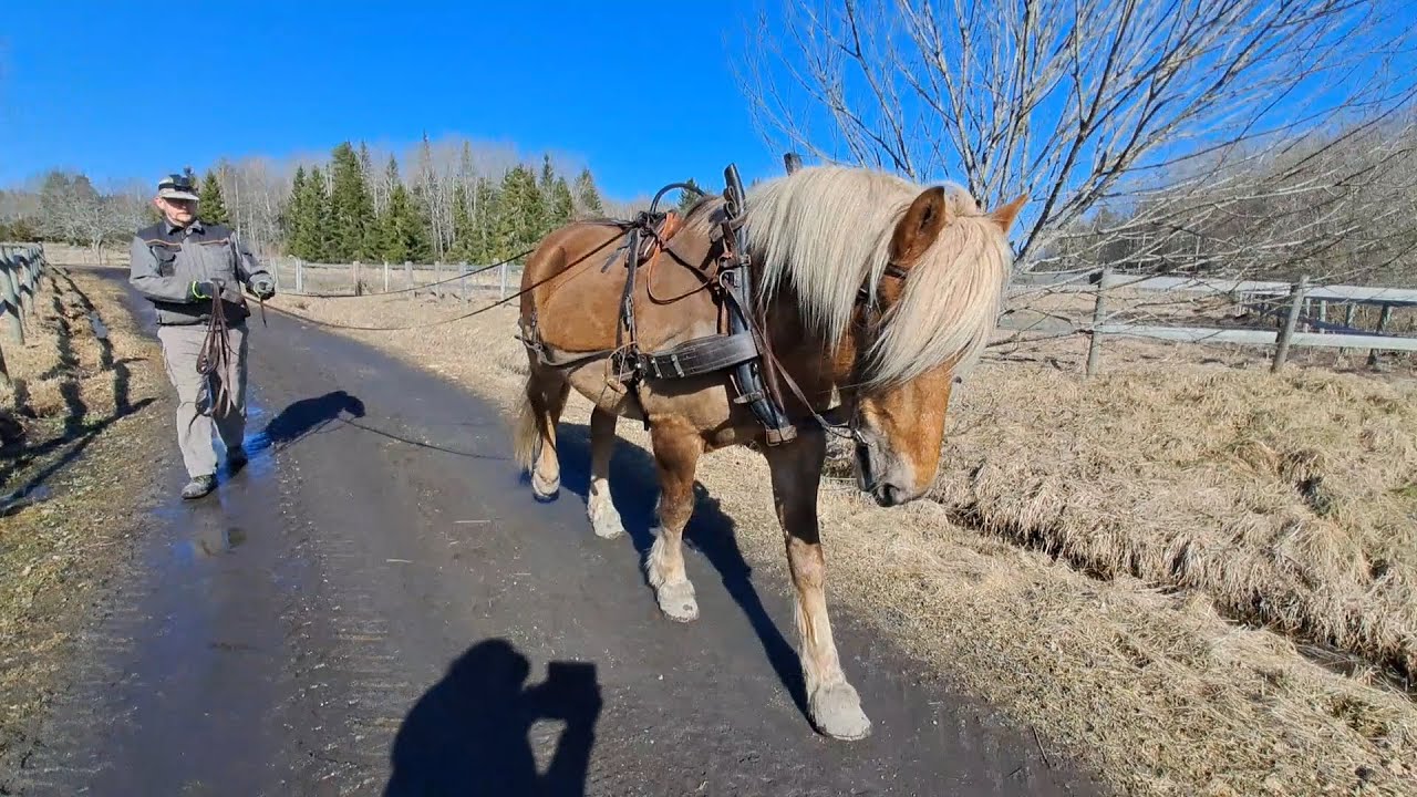 Ground driving 16th April 2023 - YouTube