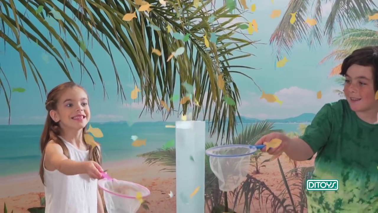 Seal Fun DITOYS - YouTube