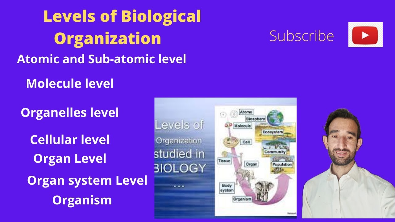 All the steps of Levels of Biological organization with examples| Class ...