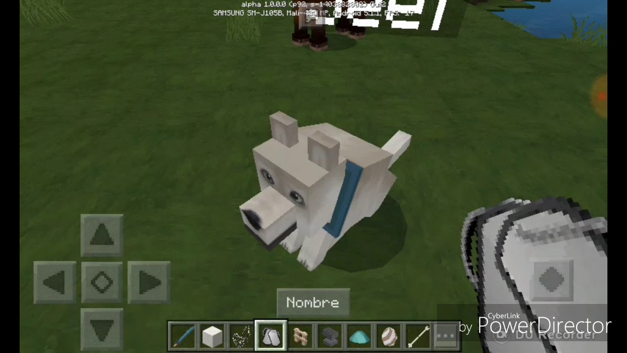 Cómo tener y cuidar un perro en minecraft - YouTube