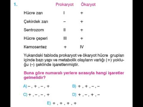 Sitoplazma ve Organeller  test 1 soru 1