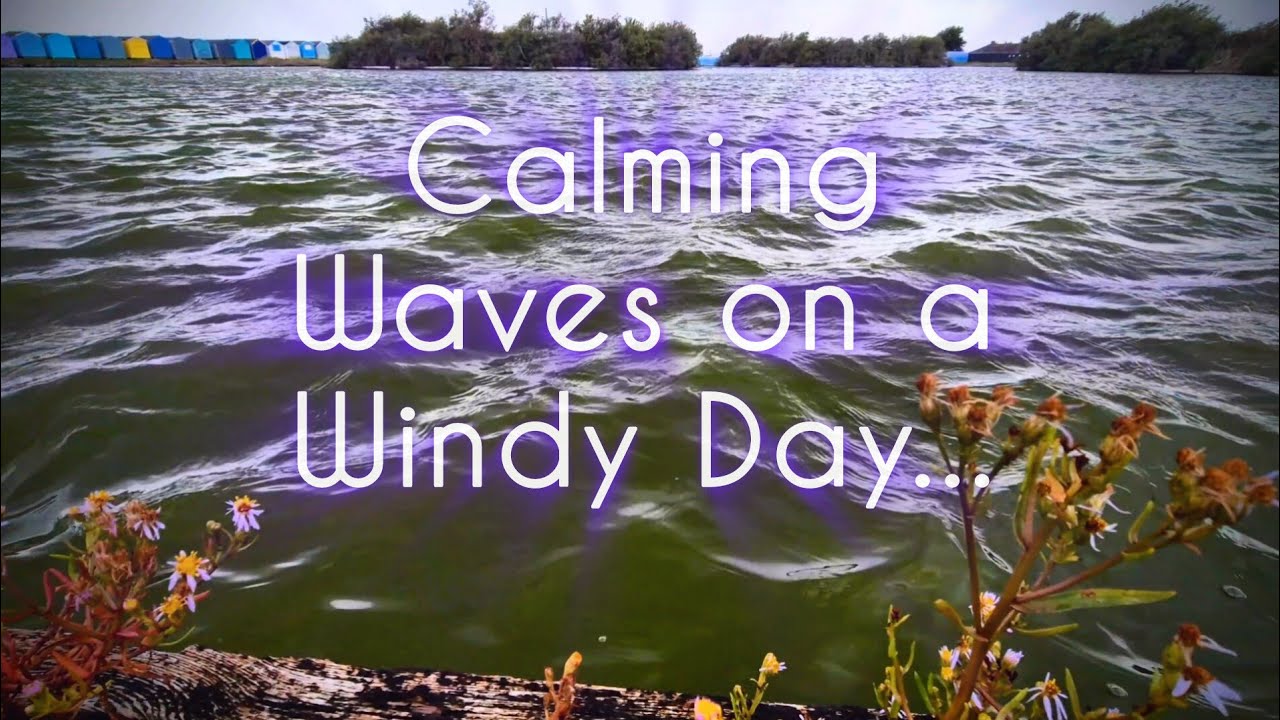 Windy Rainy Day by the Pond – Waves & Seagulls Nature Ambience 🌊 - YouTube