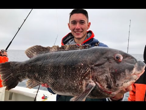 BIGGEST BLACKFISH EVER CAUGHT ON VIDEO *17 & 21 1/2 POUNDS*