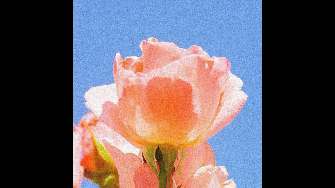 Chill Rnb Guitar Type Beat "Roses" - YouTube