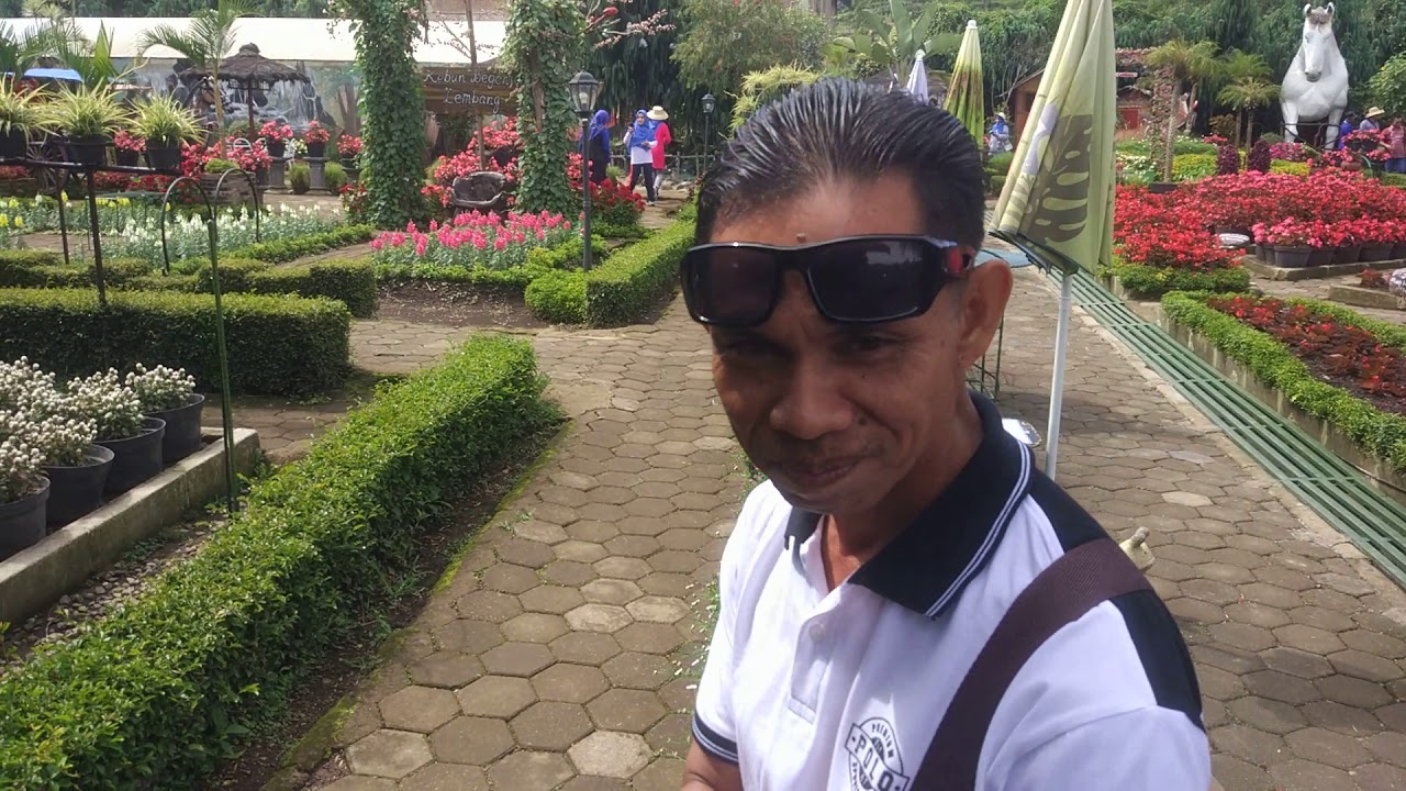 Kebun bunga, alternatif piknik - YouTube