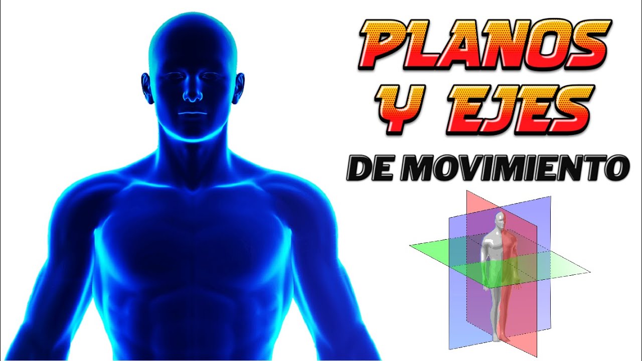 PLANOS CORPORALES Y EJES DE MOVIMIENTO ║ Posición anatómica fundamental ...