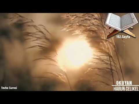 Kuranı Kerim Meali 192.Sayfa Tevbe Suresi 37-40 Ayetler