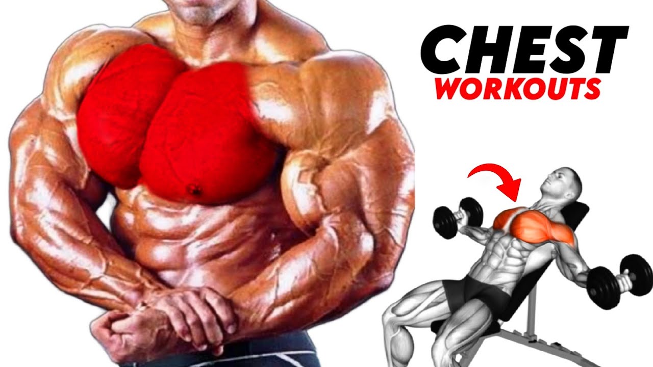 6 Chest Exercises That’ll Build a Bigger, Stronger Chest! - YouTube