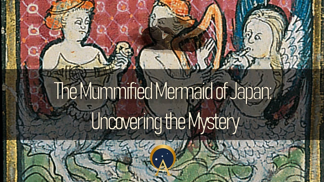 The Mummified Mermaid of Japan Uncovering the Mystery - YouTube